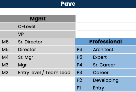Job Levels – Pave Support