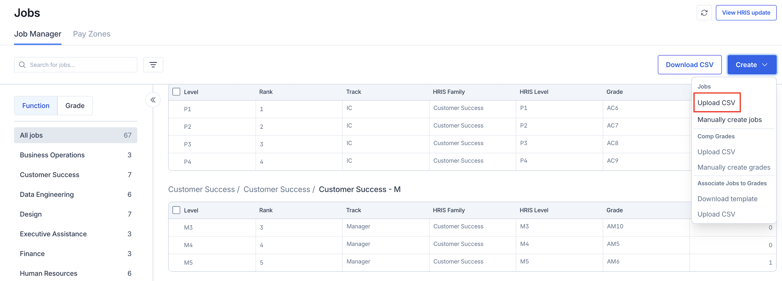 Setting up Company Job Architecture